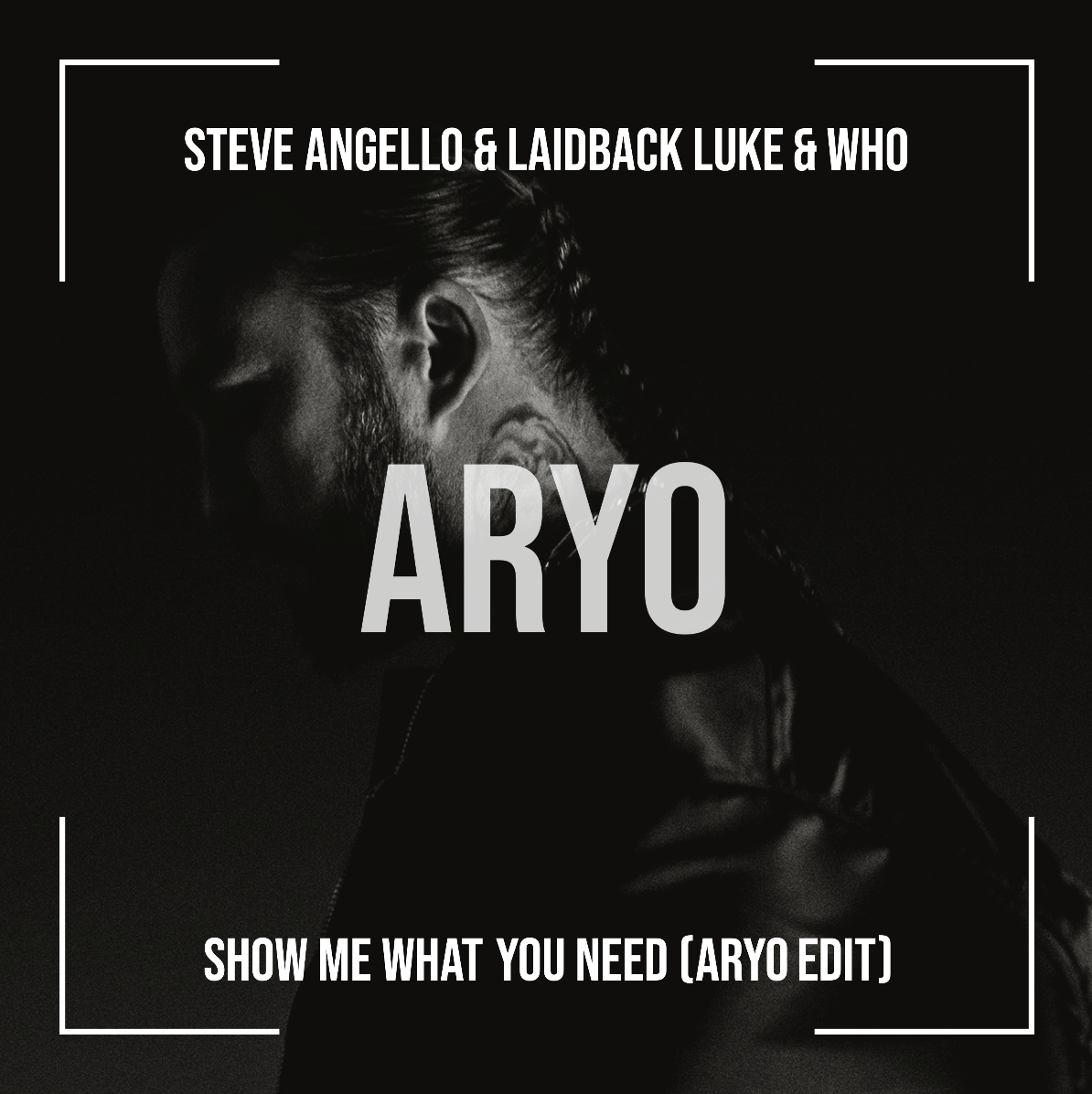 Show Me What You Need - STEVE ANGELLO & LAIDBACK LUKE & WHO by ARYO ...