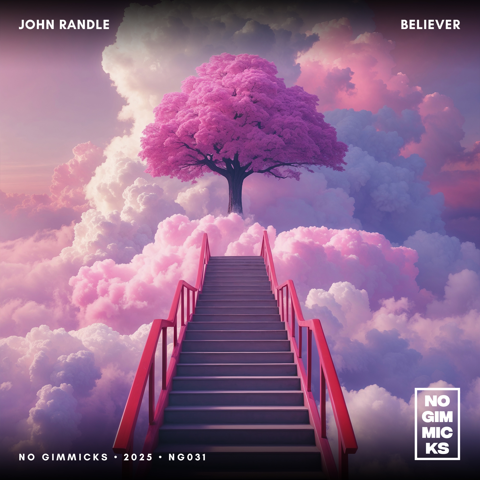 Believer by John Randle