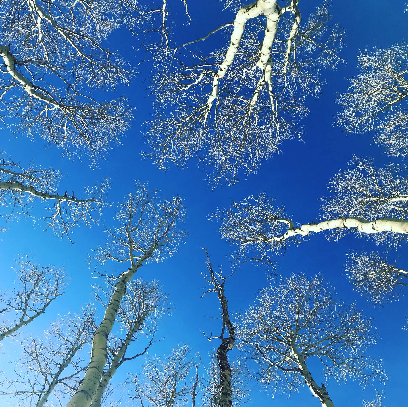 "Gasmask" / Greg Calbi Original 24-bit Master by Sperrets | Free ...