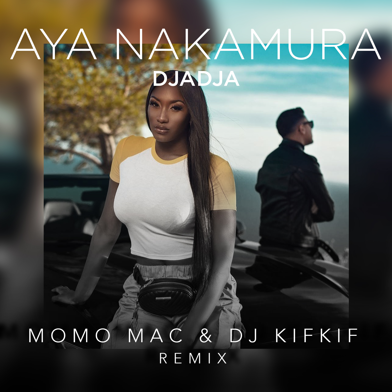 (Momo Mac & Dj Kifkif Remix) by Aya Nakamura - Djadja | Free Download ...