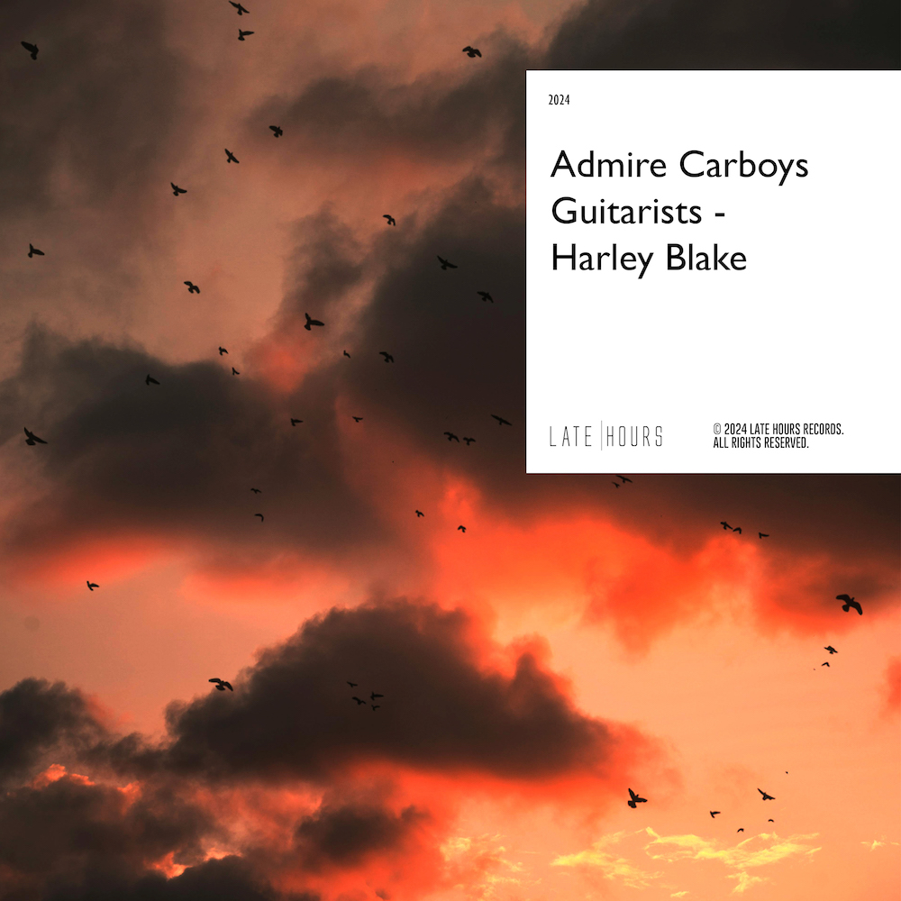 Admire Carboys Guitarists by Harley Blake