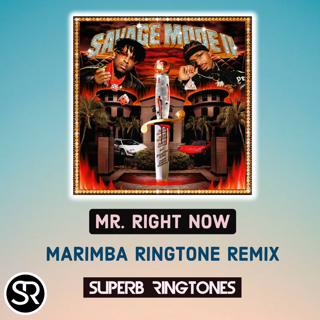Mr. Right Now Marimba Remix by 21 Savage ft. Metro Boomin & Drake ...