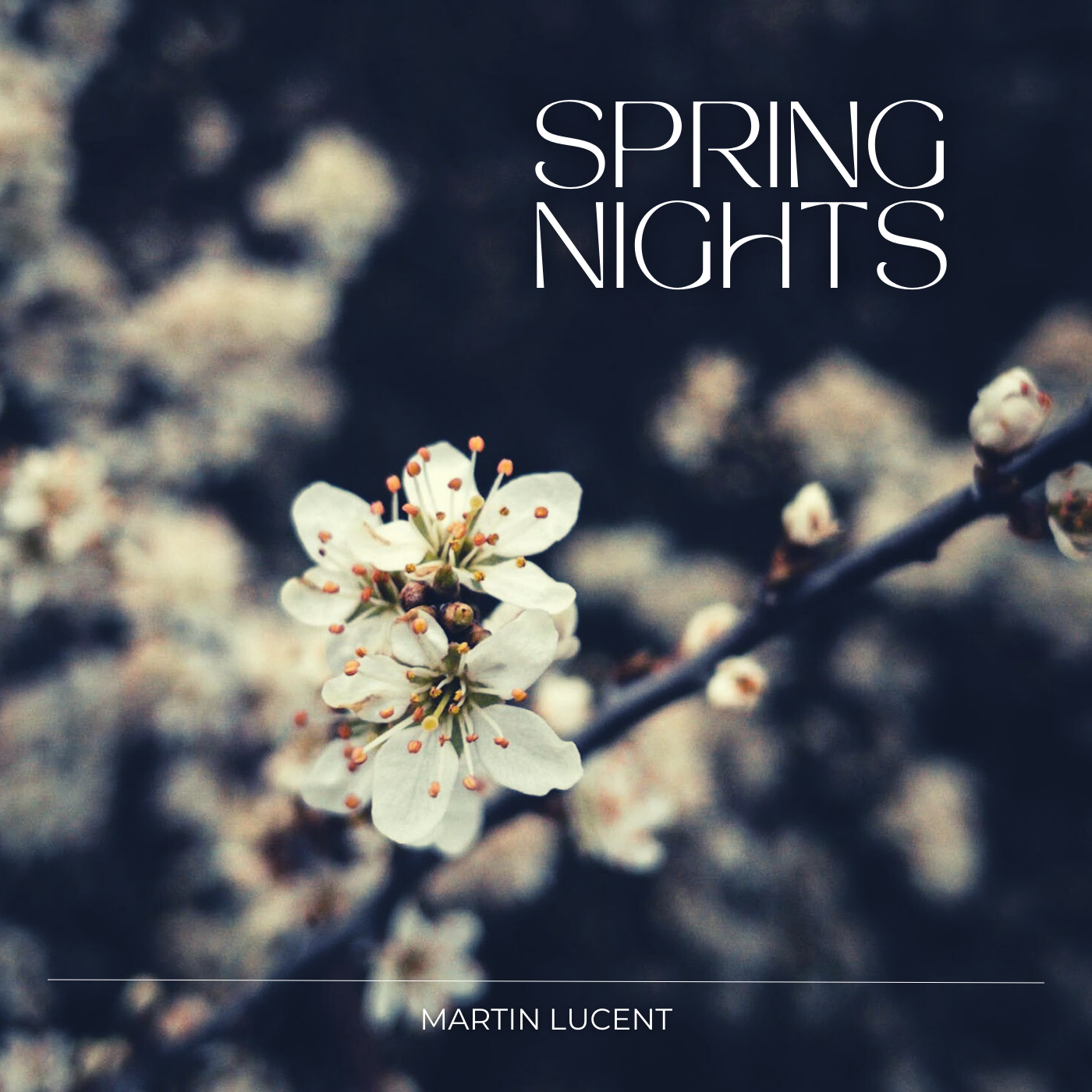 Spring Nights by Martin Lucent
