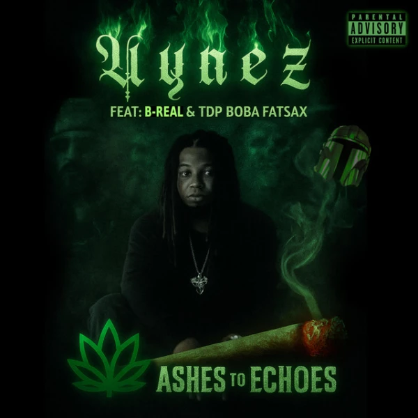 Ashes to Echoes by Vynez