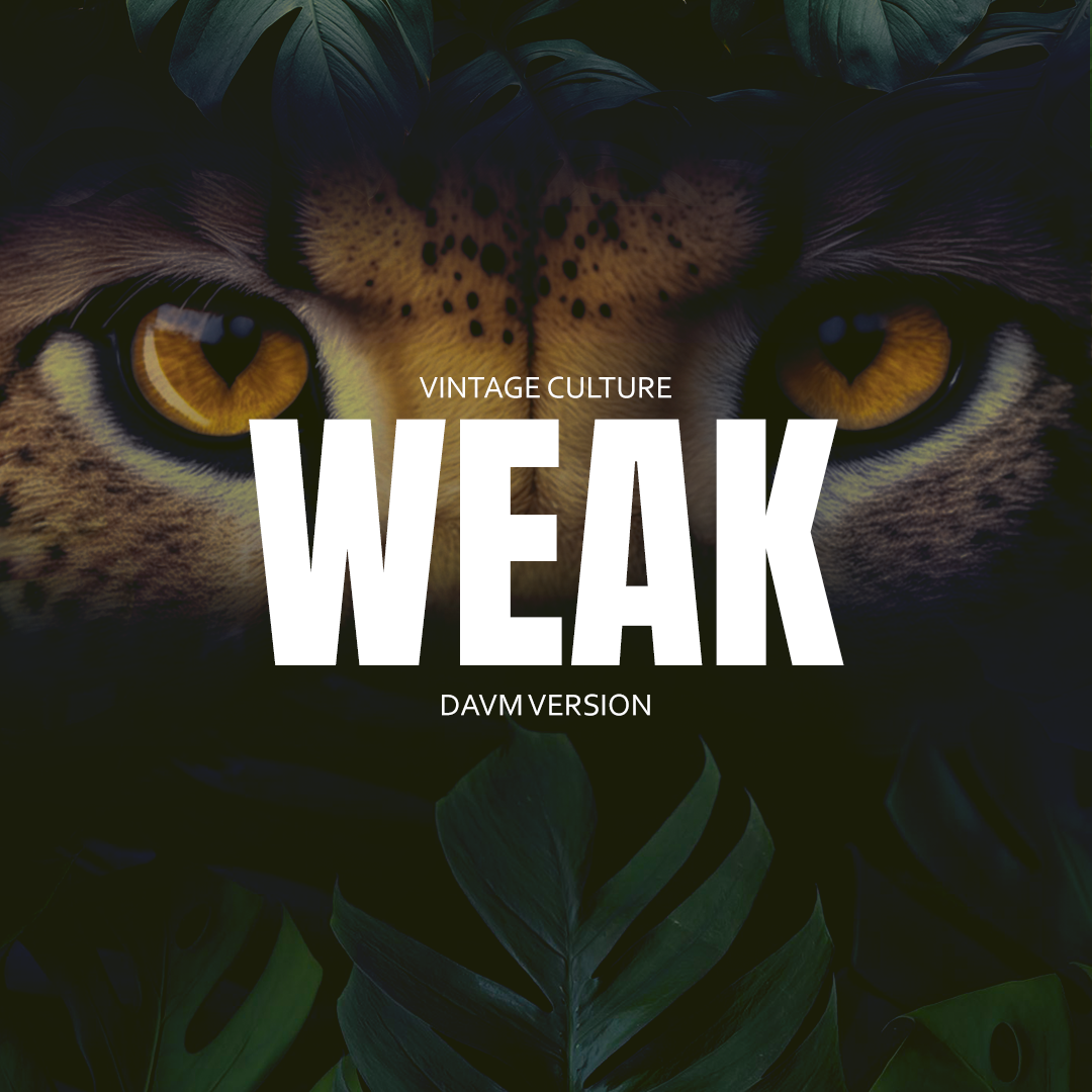 Vintage Culture - Weak (DAVM Afro House Remix) by DAVM | Free Download ...