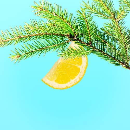 Into the Wind by Pulphonics