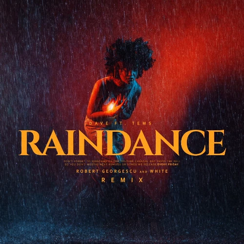 Dave - Raindance ft. Tems by Robert Georgescu and White Remix | Free ...