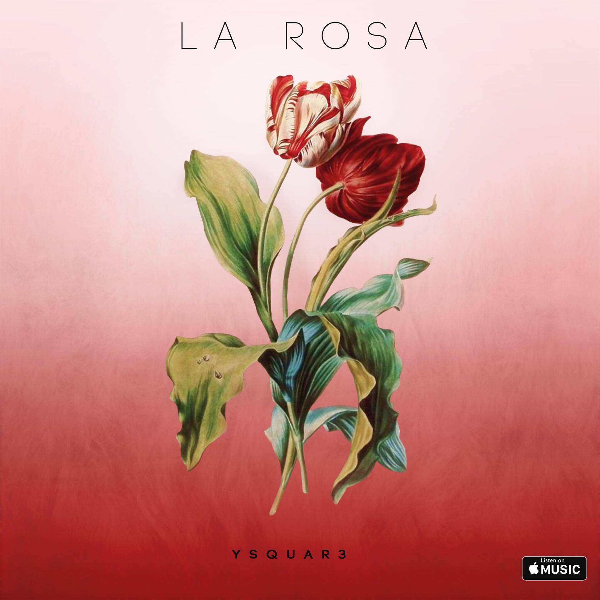 La Rosa by Ysquar3 | Free Download on Hypeddit