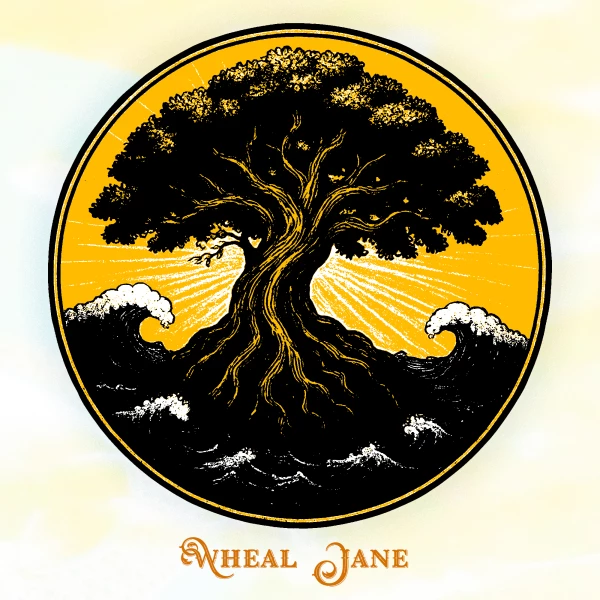Wheal Jane by Willie and the Bandits
