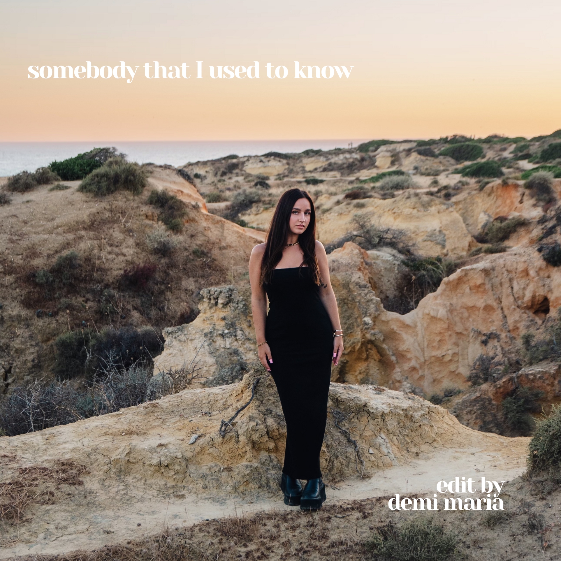 Somebody That I Used To Know by demi maria | Free Download on Hypeddit
