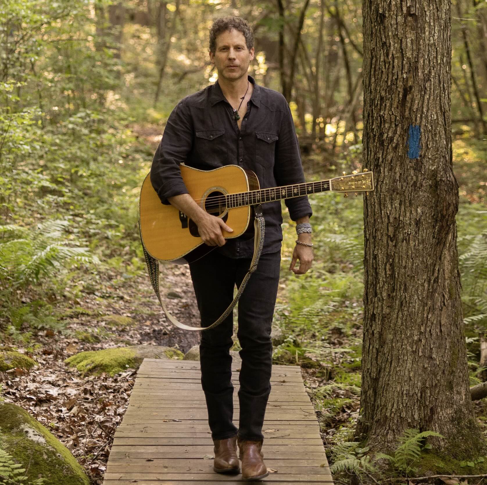 When We Wander by Jesse Terry