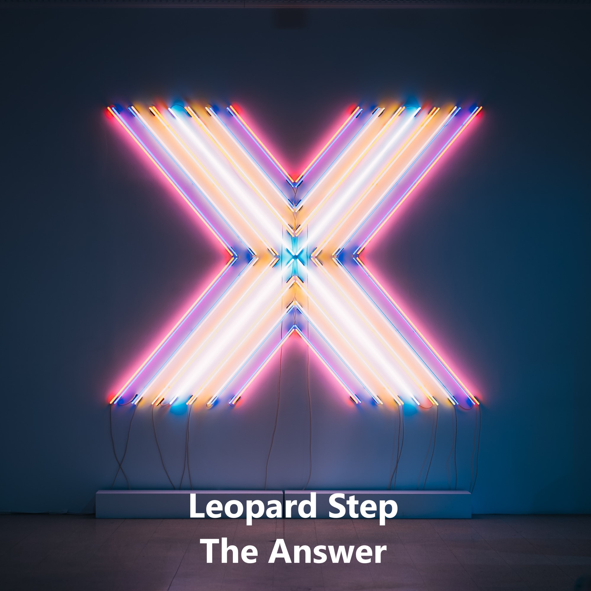 The Answer by Leopard Step
