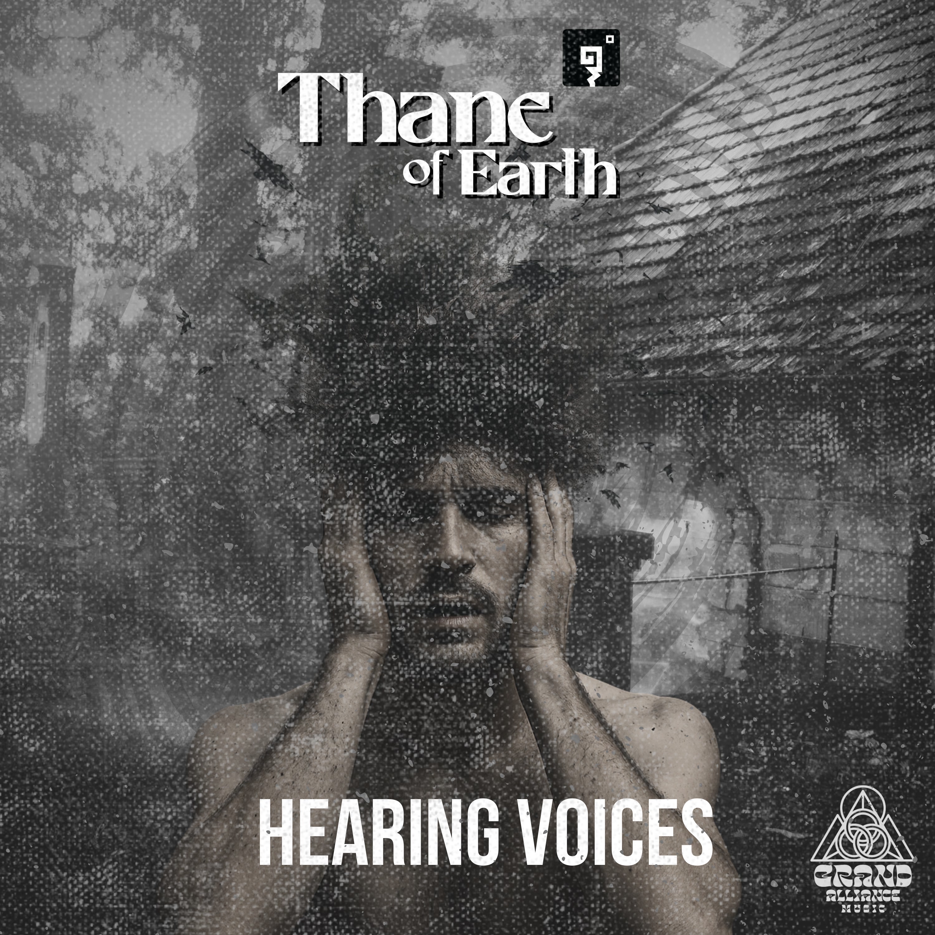 Hearing Voices by Thane Of Earth