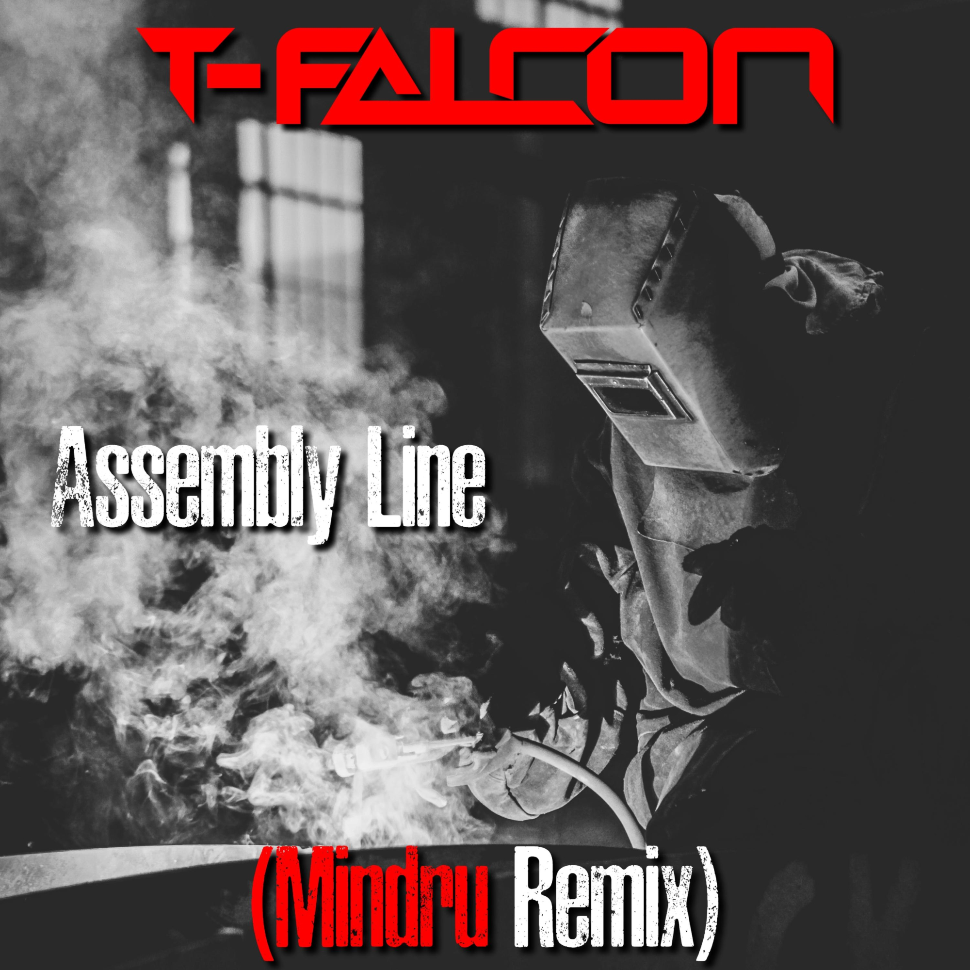 Assembly Line (Mindru Remix) by T-Falcon