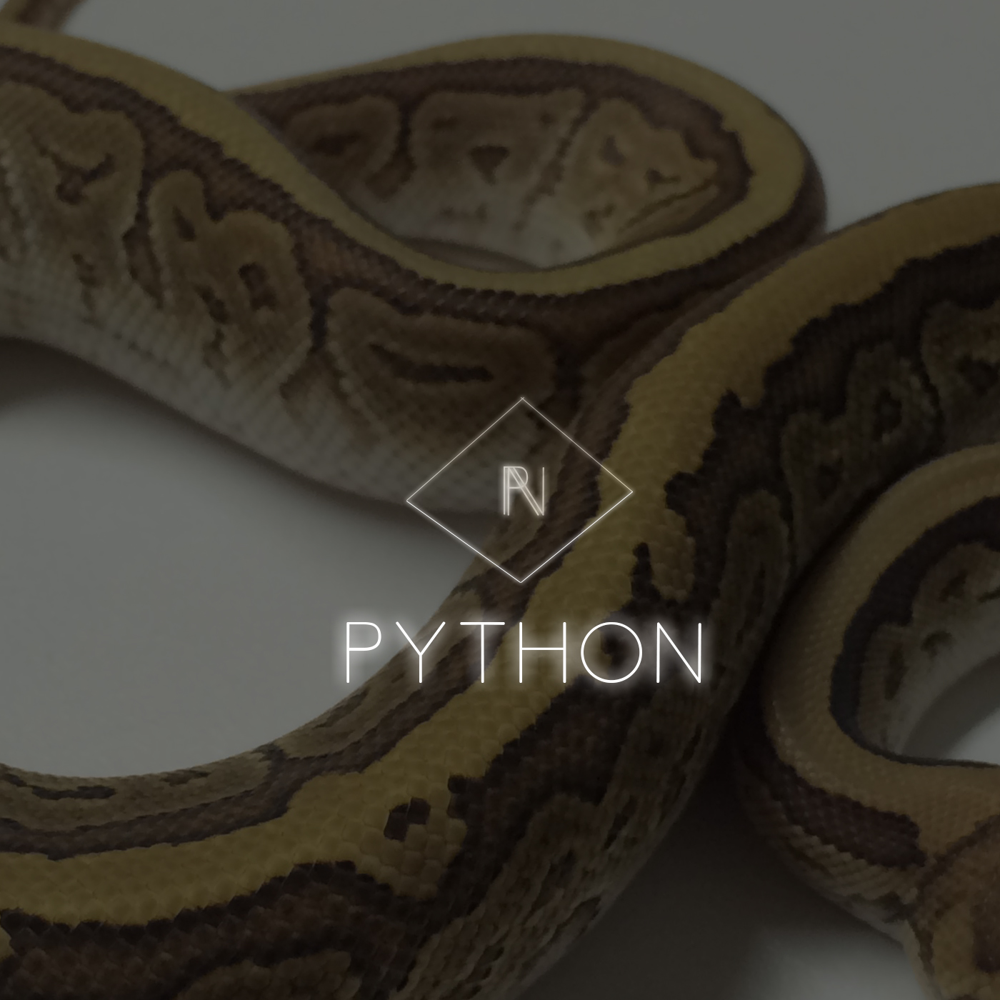 Python by Prince Nety | Free Download on Hypeddit