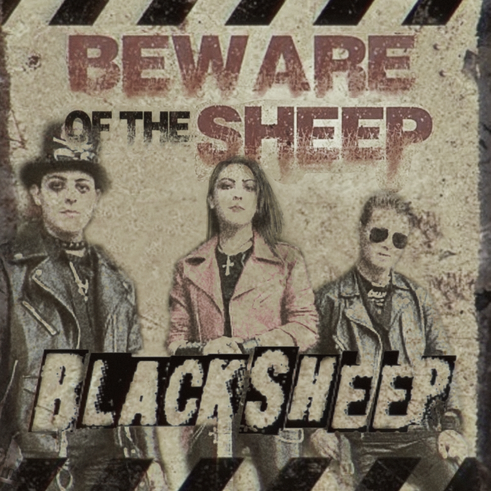 Beware of the Sheep by BlackSheep