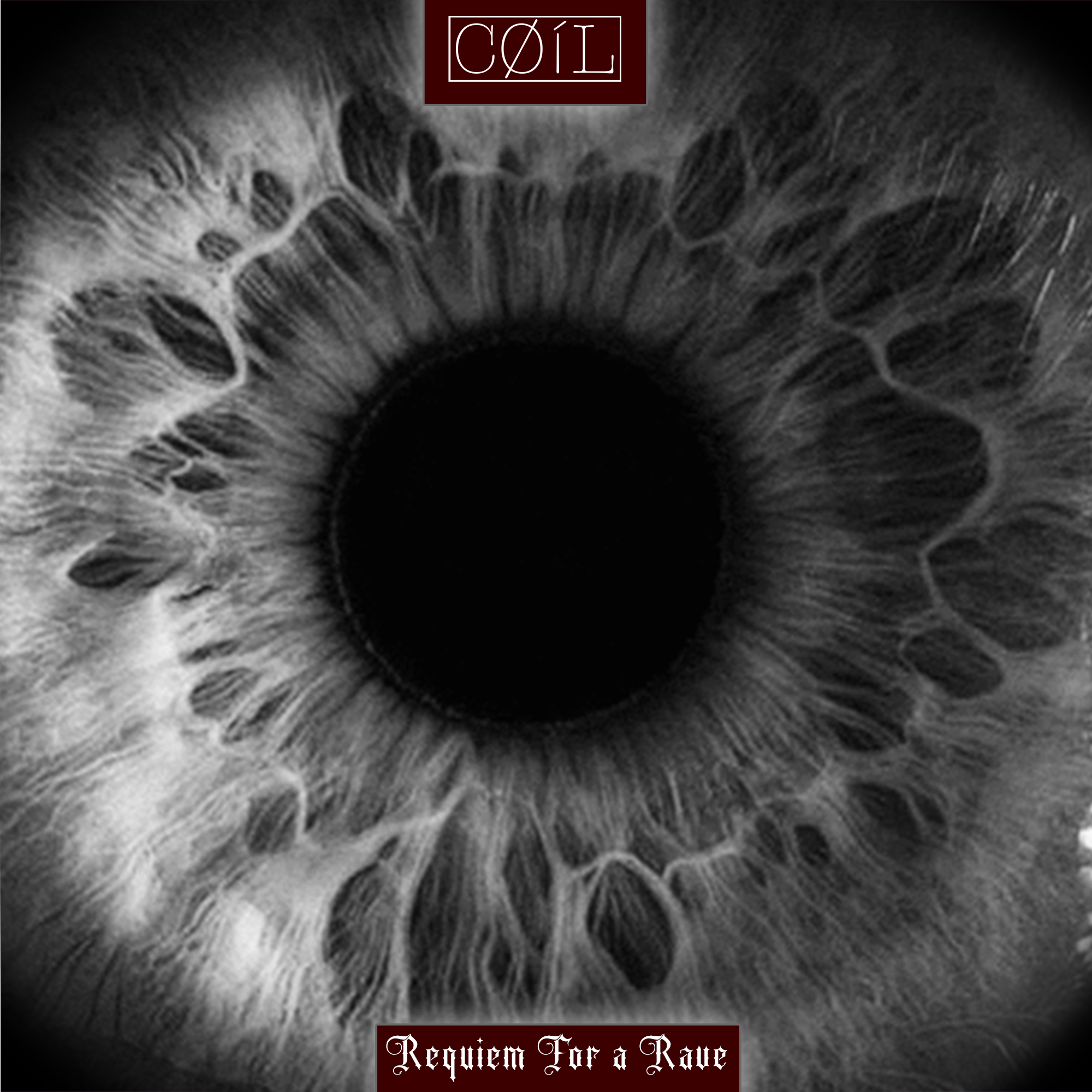 Requiem for a rave by COIL | Free Download on Hypeddit