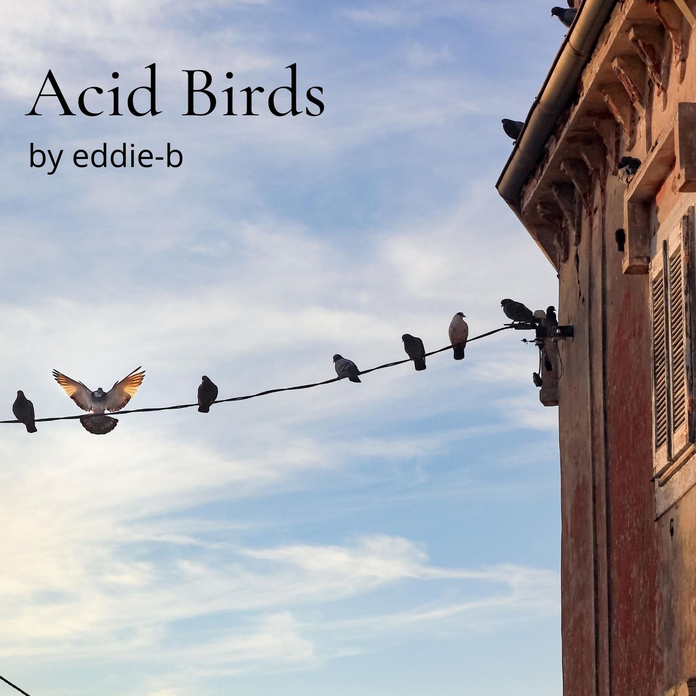 ACID BIRDS (Original) by eddie-b | Free Download on Hypeddit