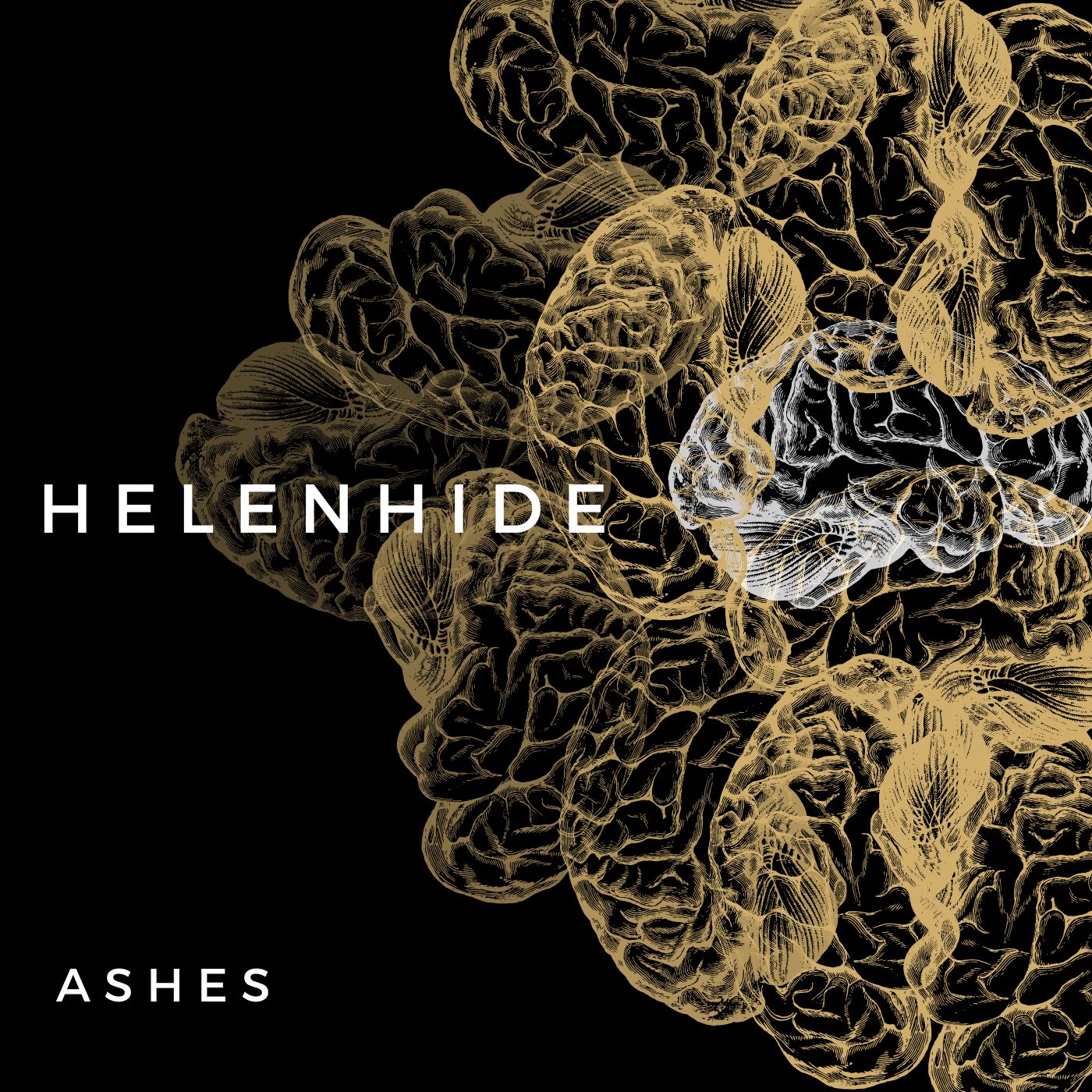 Ashes by Helenhide
