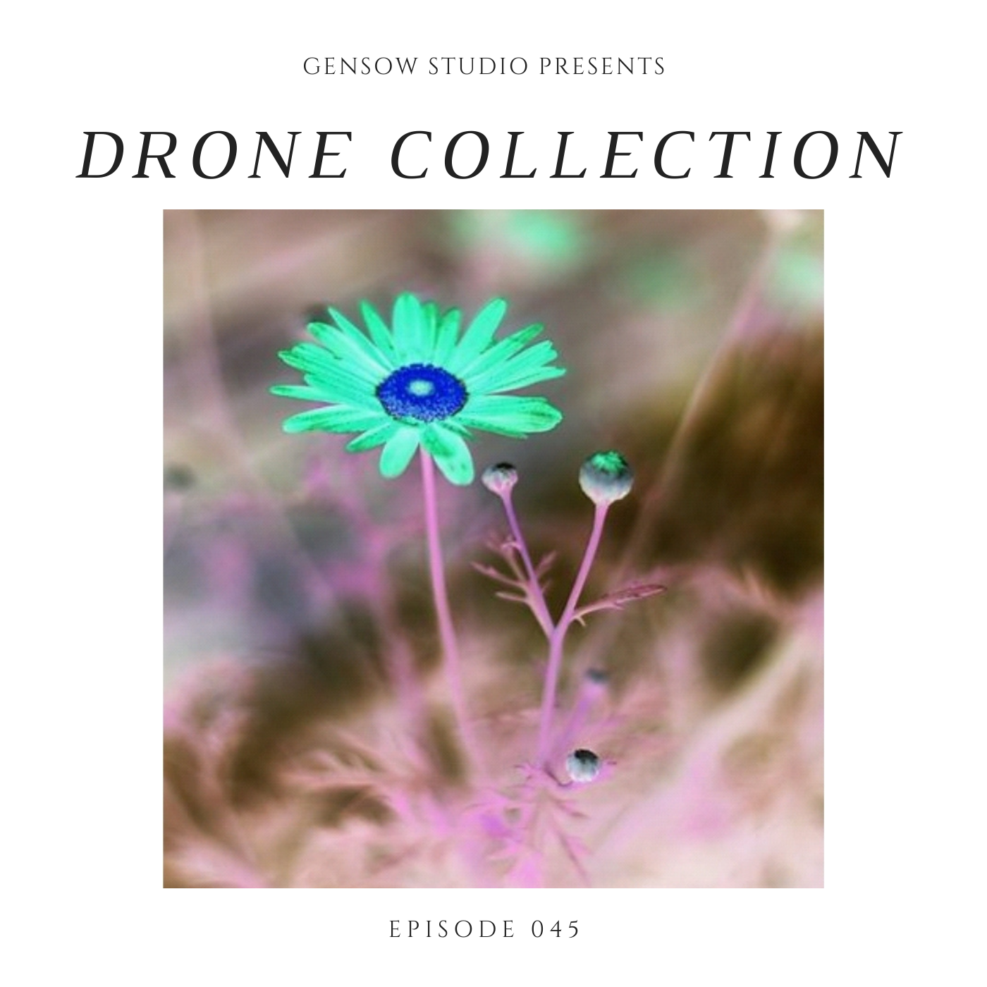 [FREE DOWNLOAD] Drone Sample Pack - Ambient, Cinematic Soundscapes ...