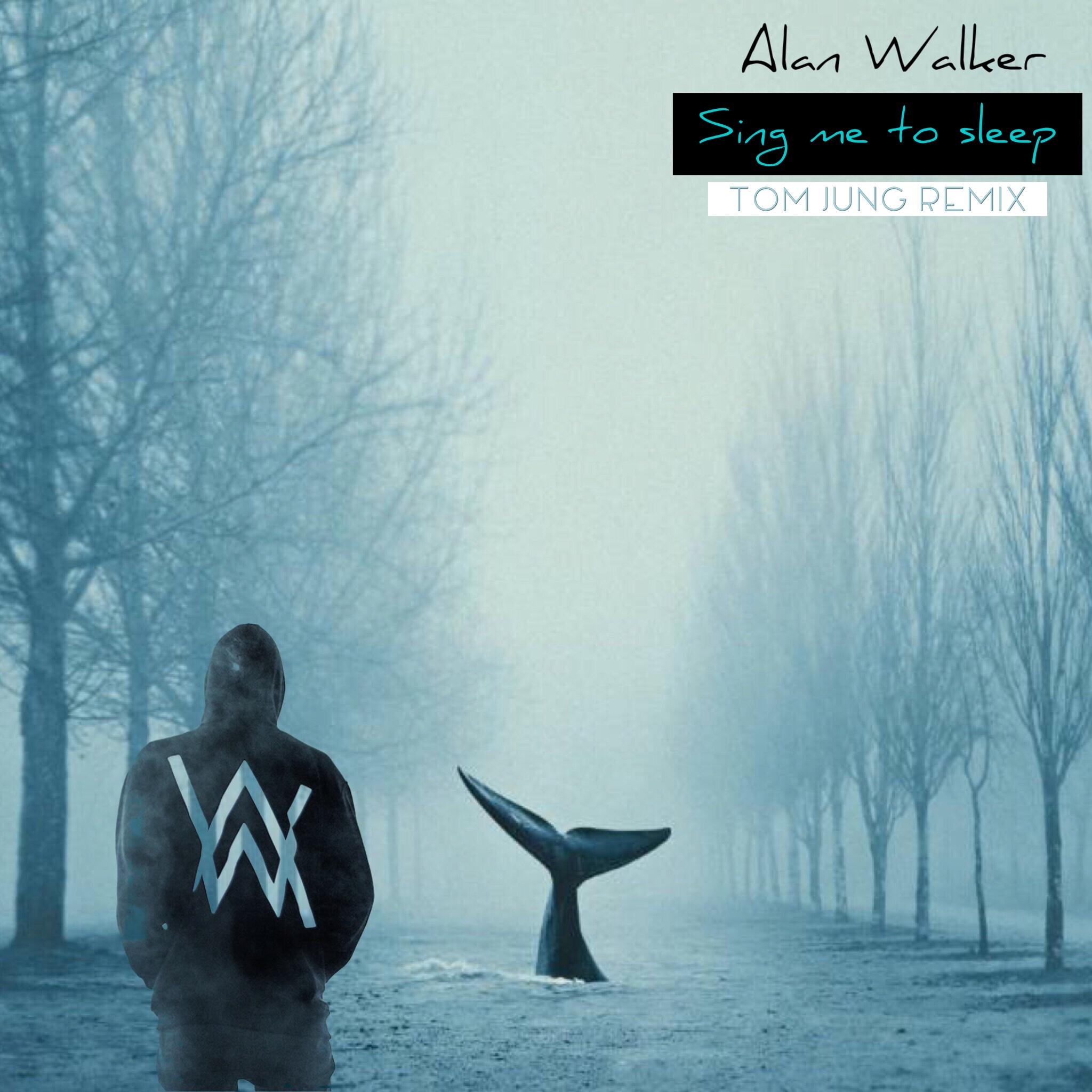Alan Walker - Sing Me To Sleep Tom Jung Remix by Tom Jung | Free ...