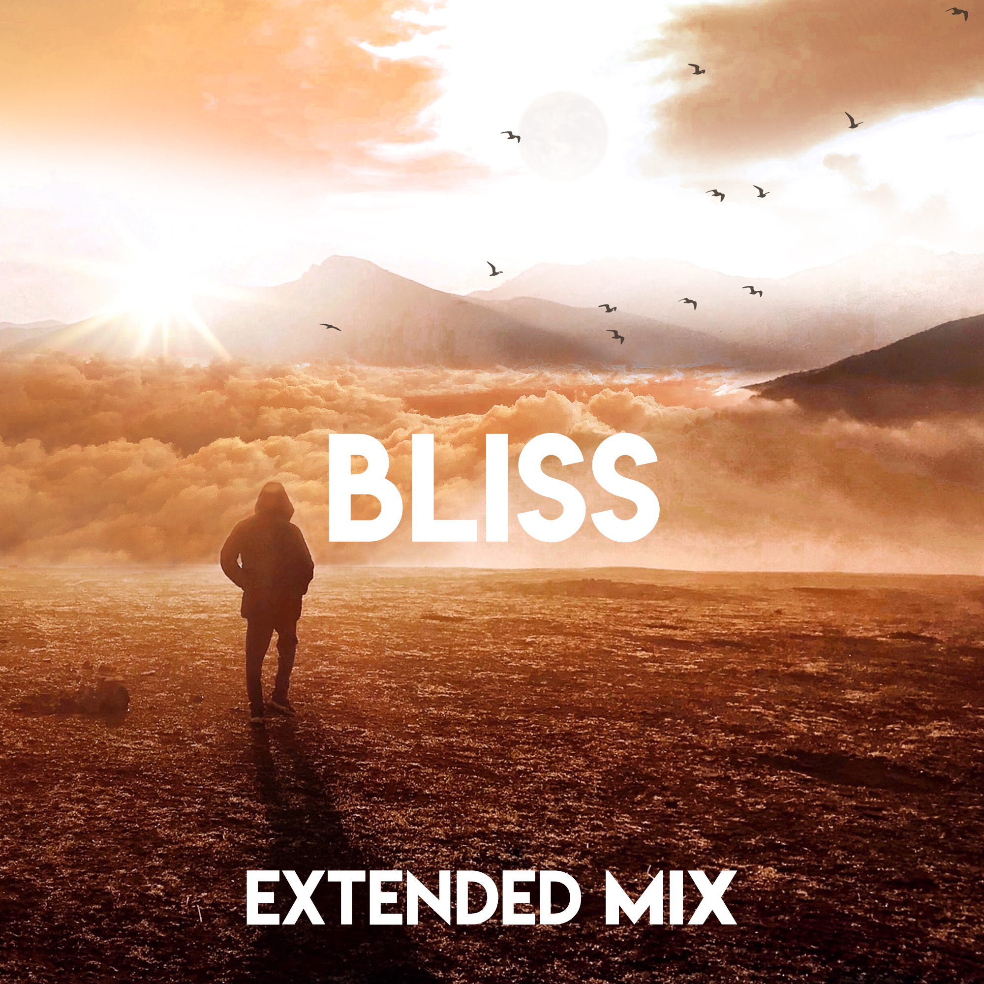 Bliss (extended mix) by LeDrips | Free Download on Hypeddit