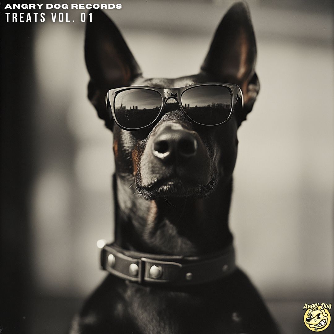 Treats Vol. 01 by Angry Dog