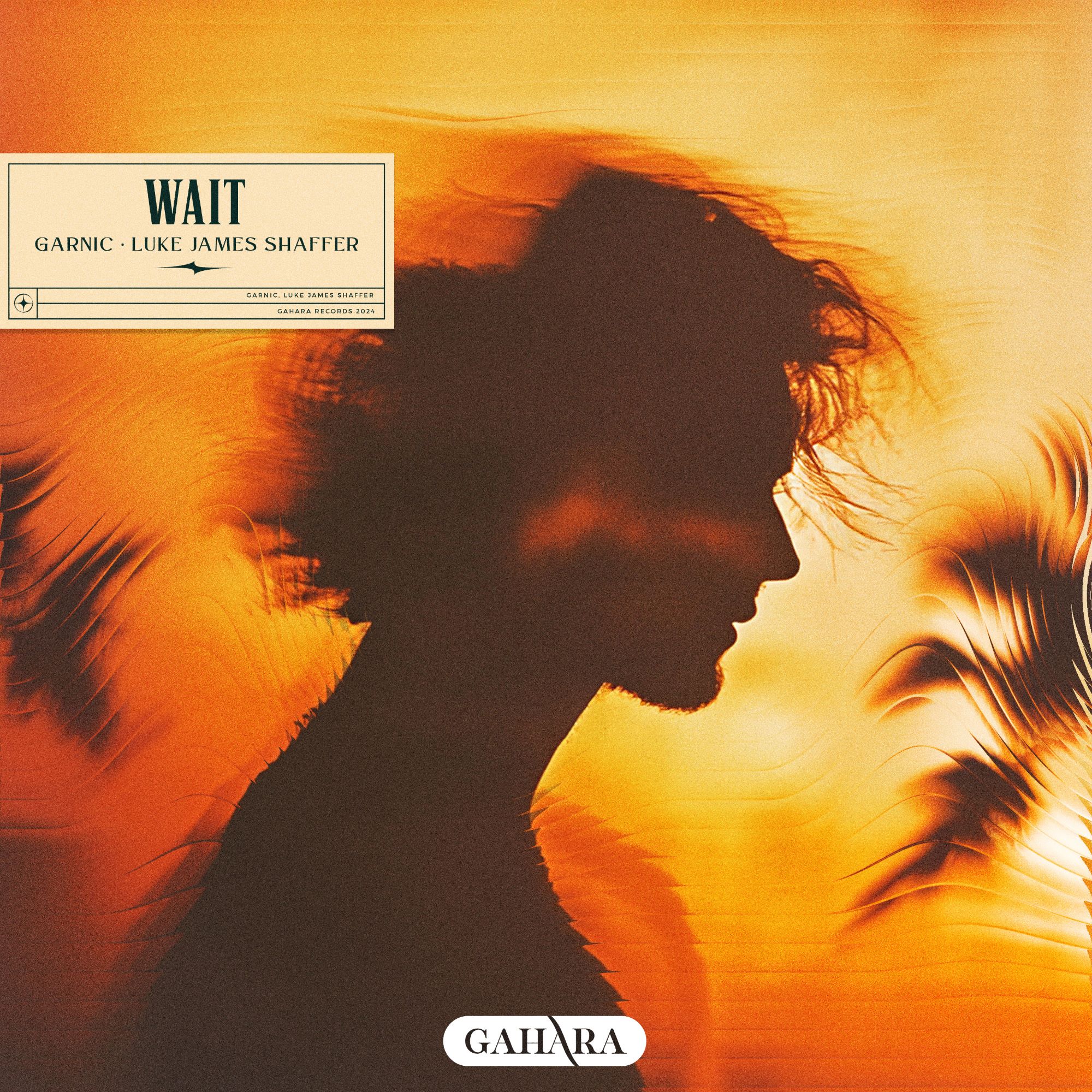 Wait by Garnic, Luke James Shaffer