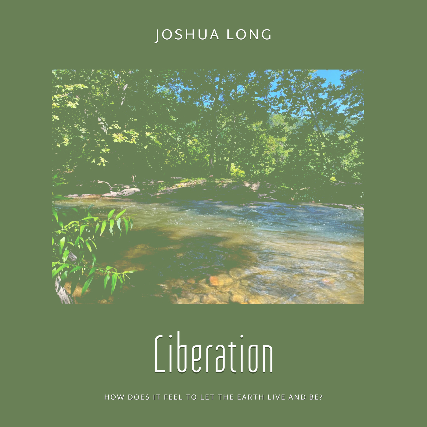 Liberation by Joshua Long