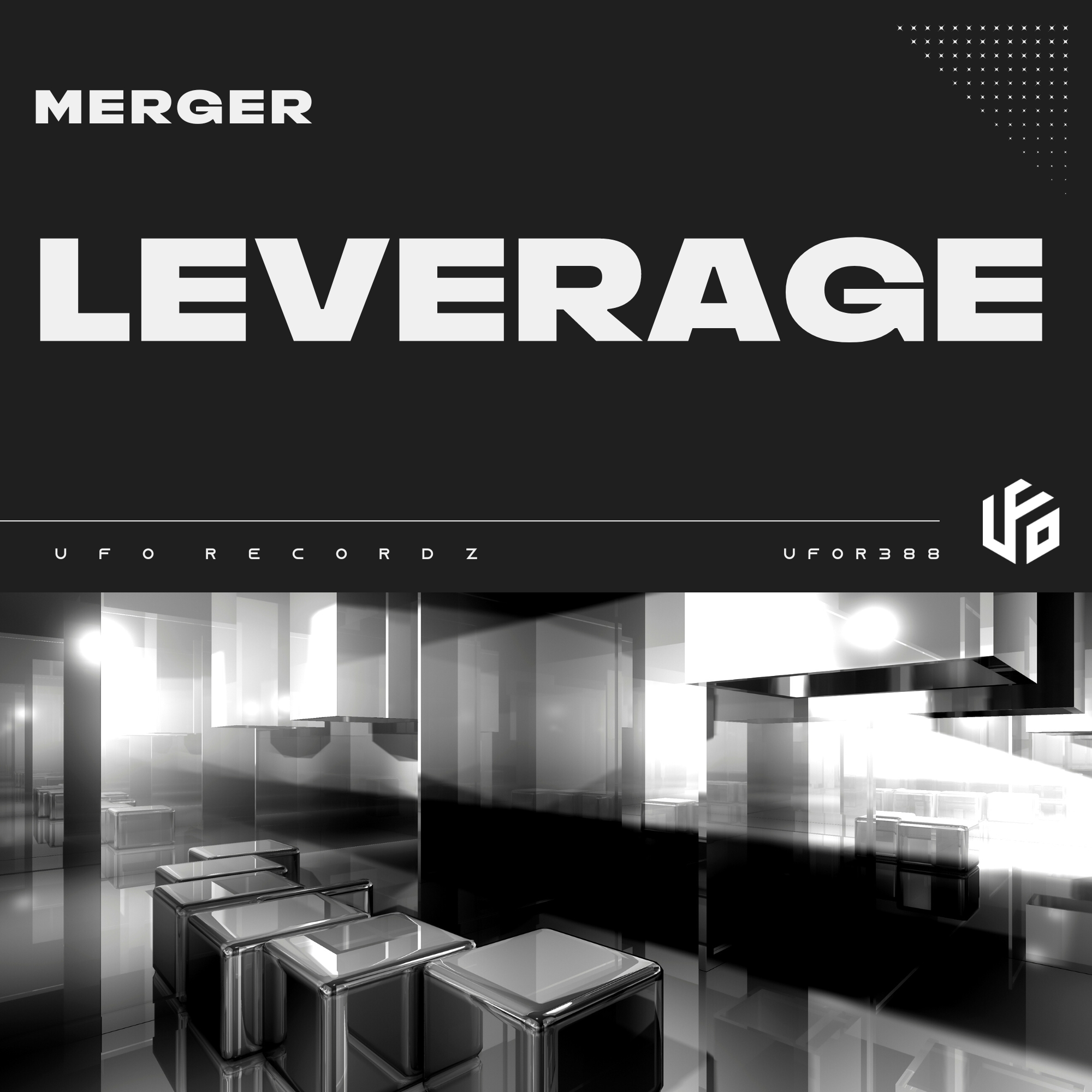 Leverage by Merger