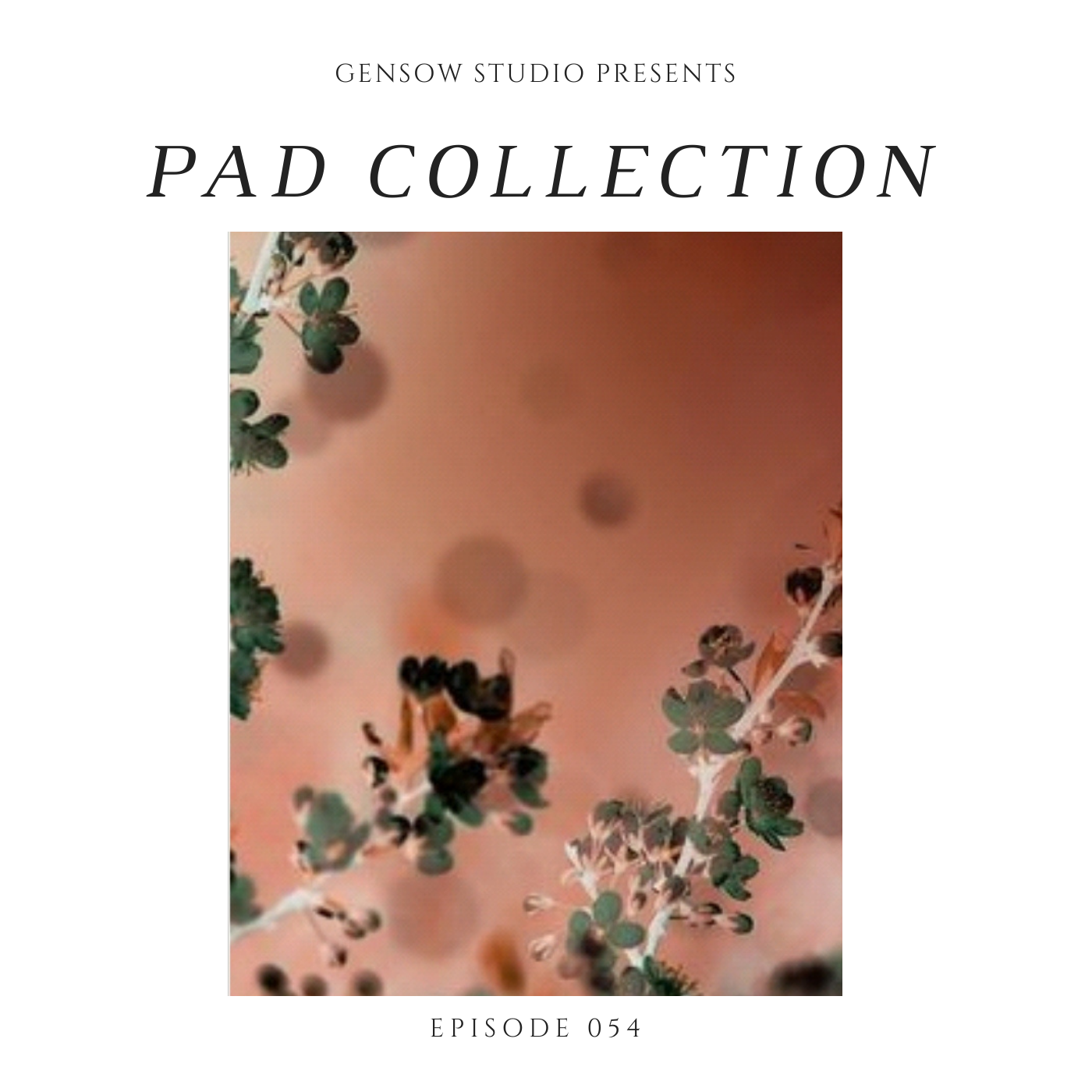 [FREE DOWNLOAD] Epic Pads Sample & MIDI Pack - Ambient, Cinematic ...