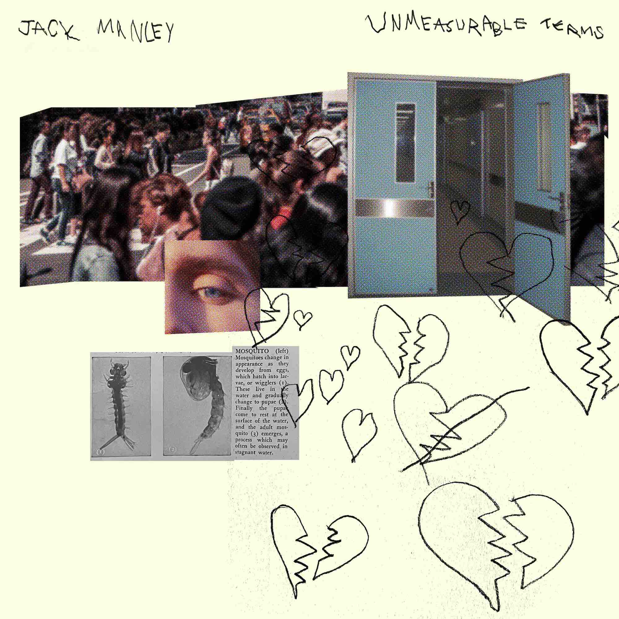 Unmeasurable Terms by Jack Manley