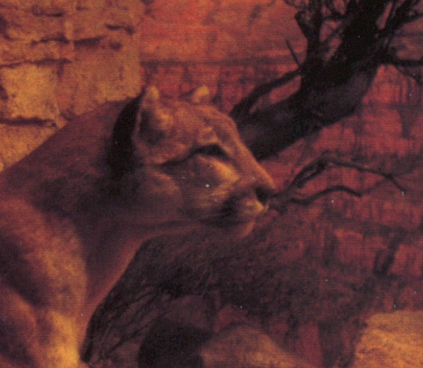 KSHN - Hide (Tijn Driessen Edit) by Tijn Driessen | Free Download on ...