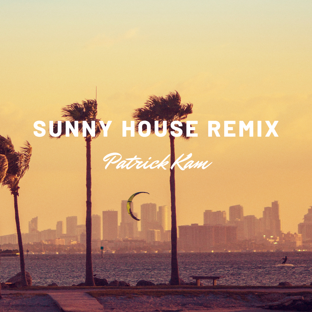 Sunny House remix by Patrick Kam
