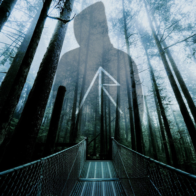 Gravity by Alex Rustom