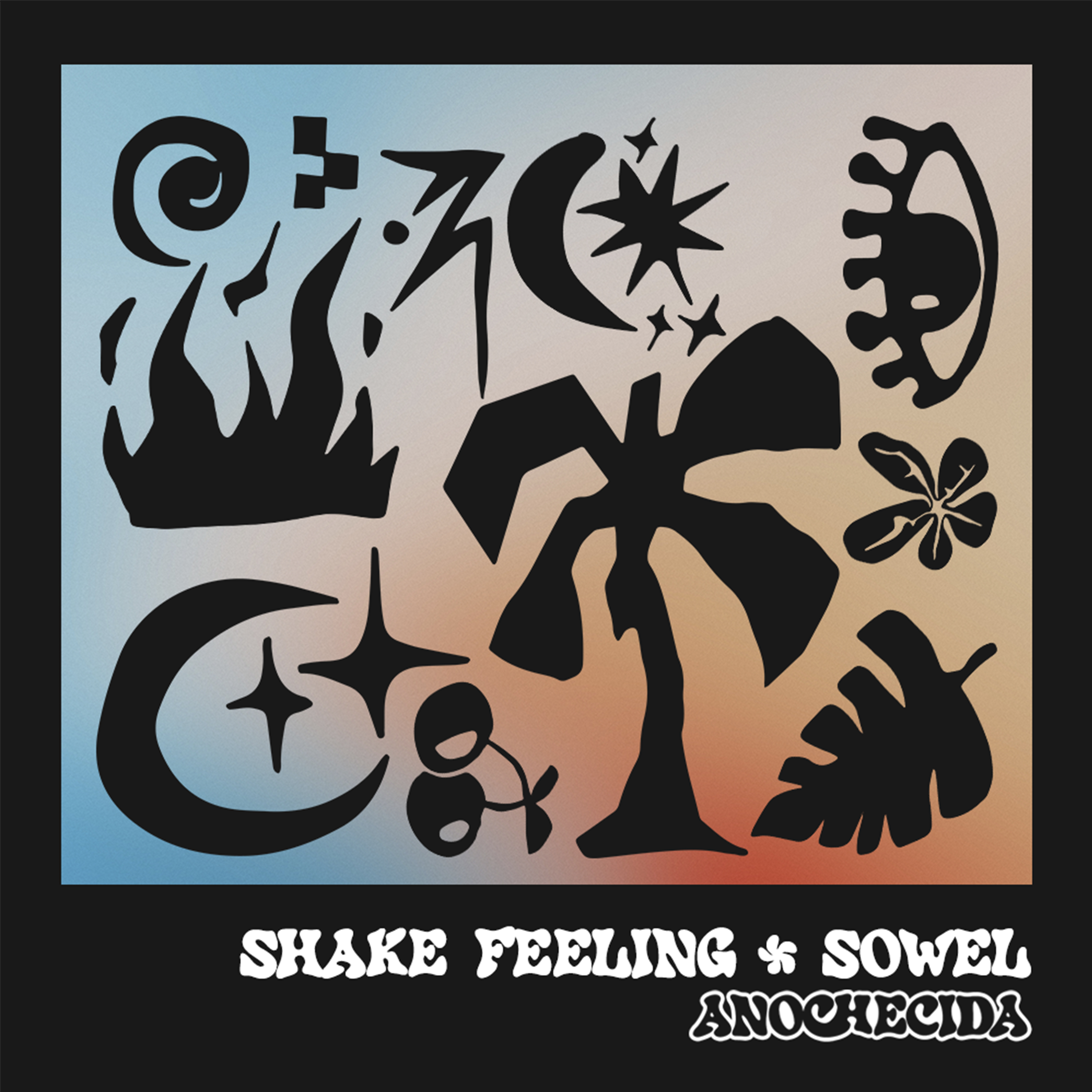 Shake Feeling by Sowel