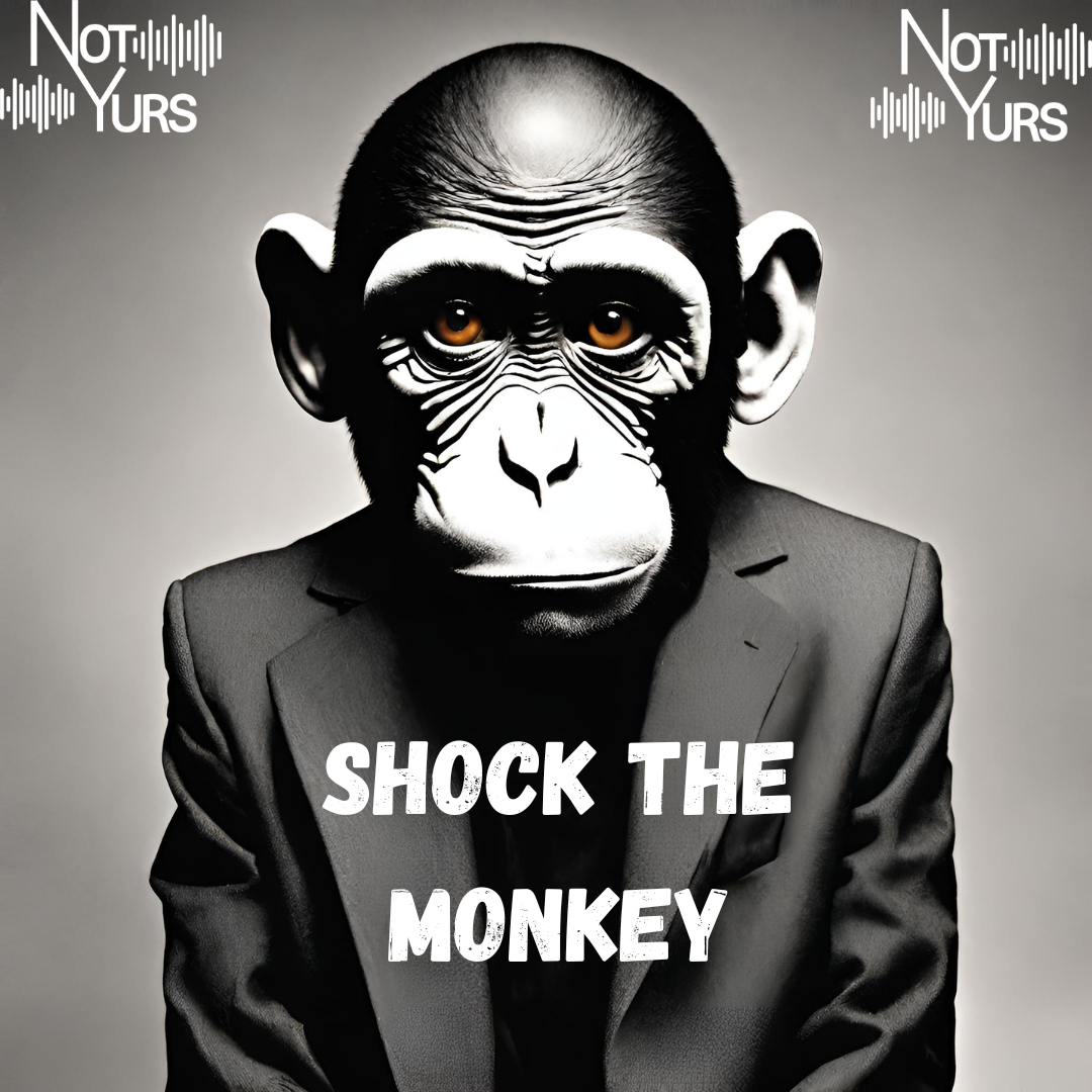 Shock The Monkey Remix by Not Yurs | Free Download on Hypeddit