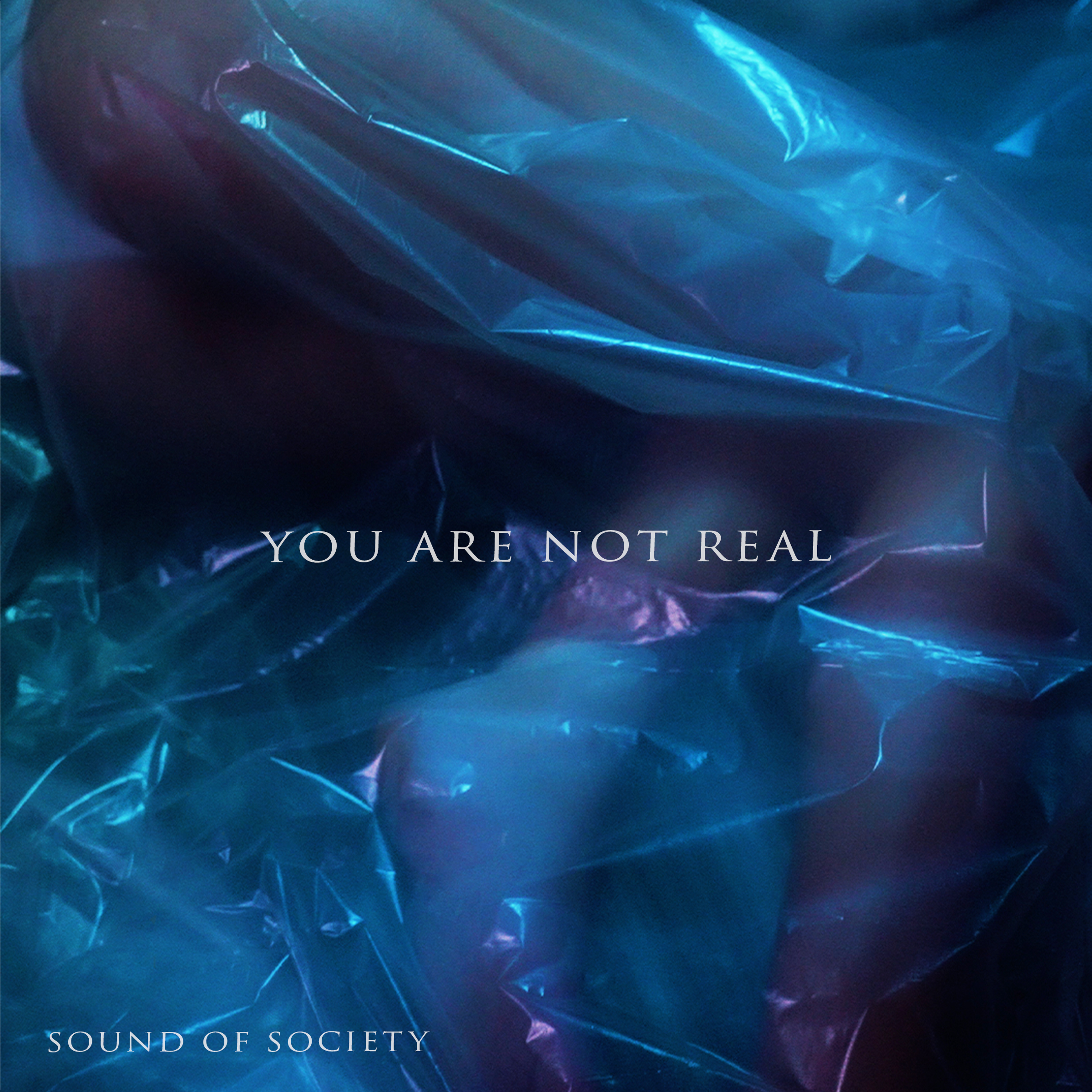 You Are Not Real by Sound Of Society