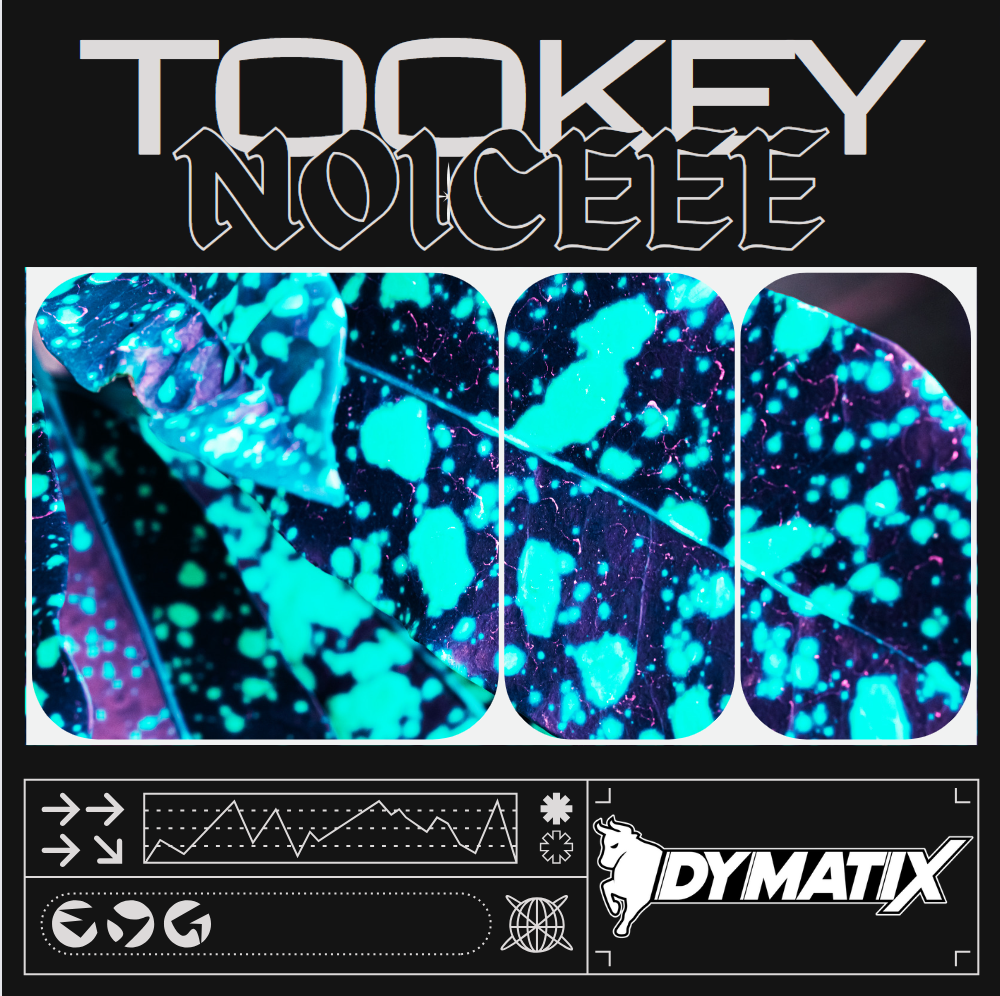 NOICEEE by TOOKEY | Free Download on Hypeddit