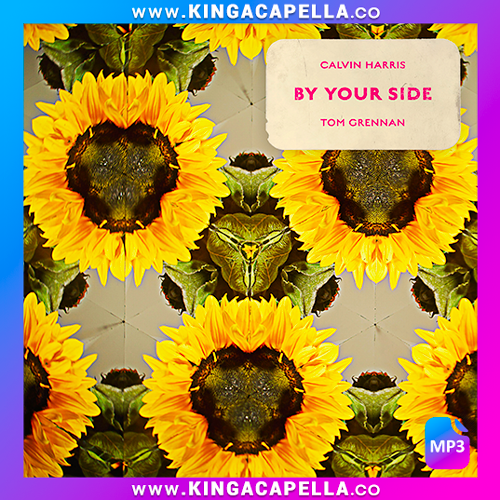 By Your Side (DIY Acapella) by Calvin Harris, Tom Grennan | Free ...