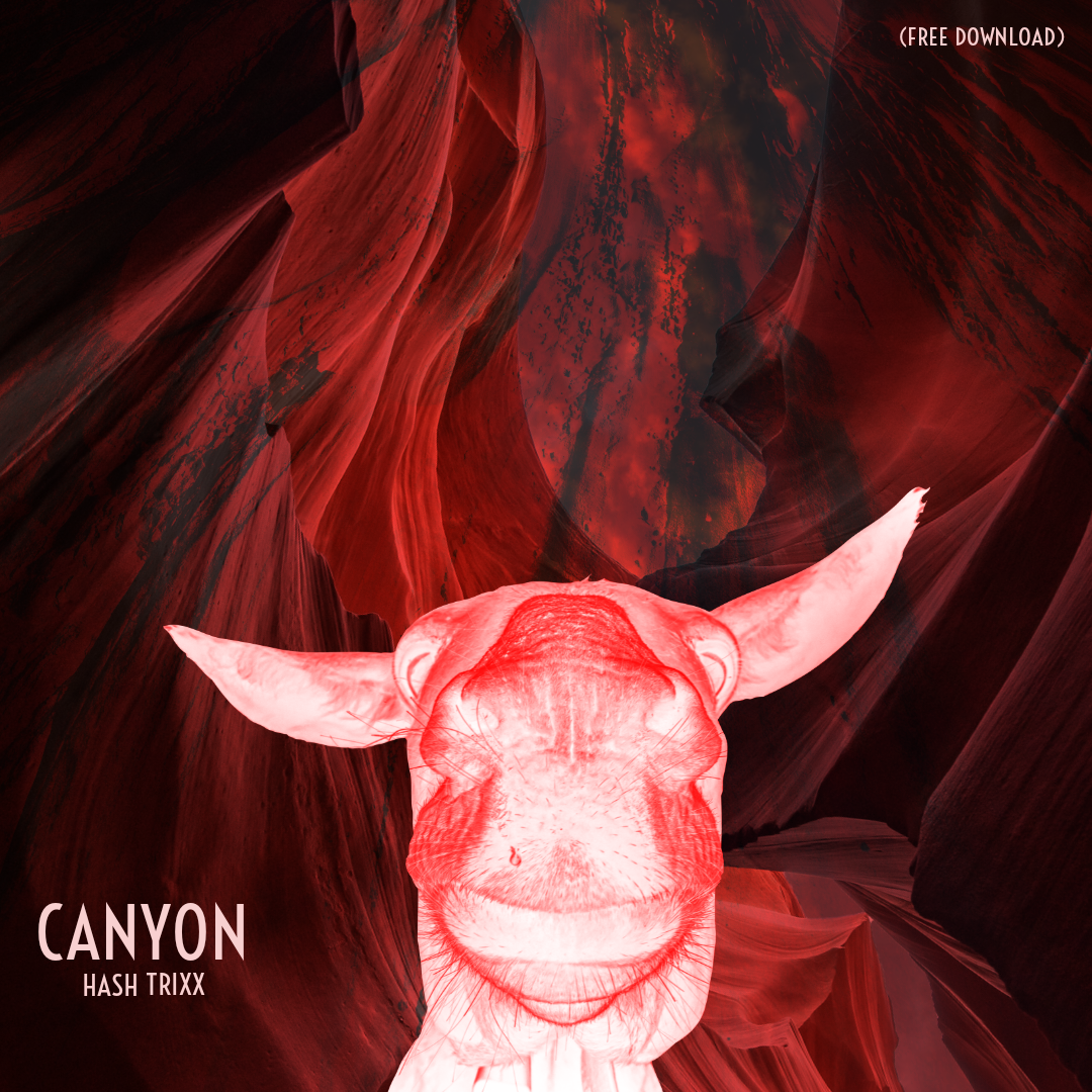 Hash Trixx - Canyon (Original Mix)[Free Download] by HashTrixx | Free ...
