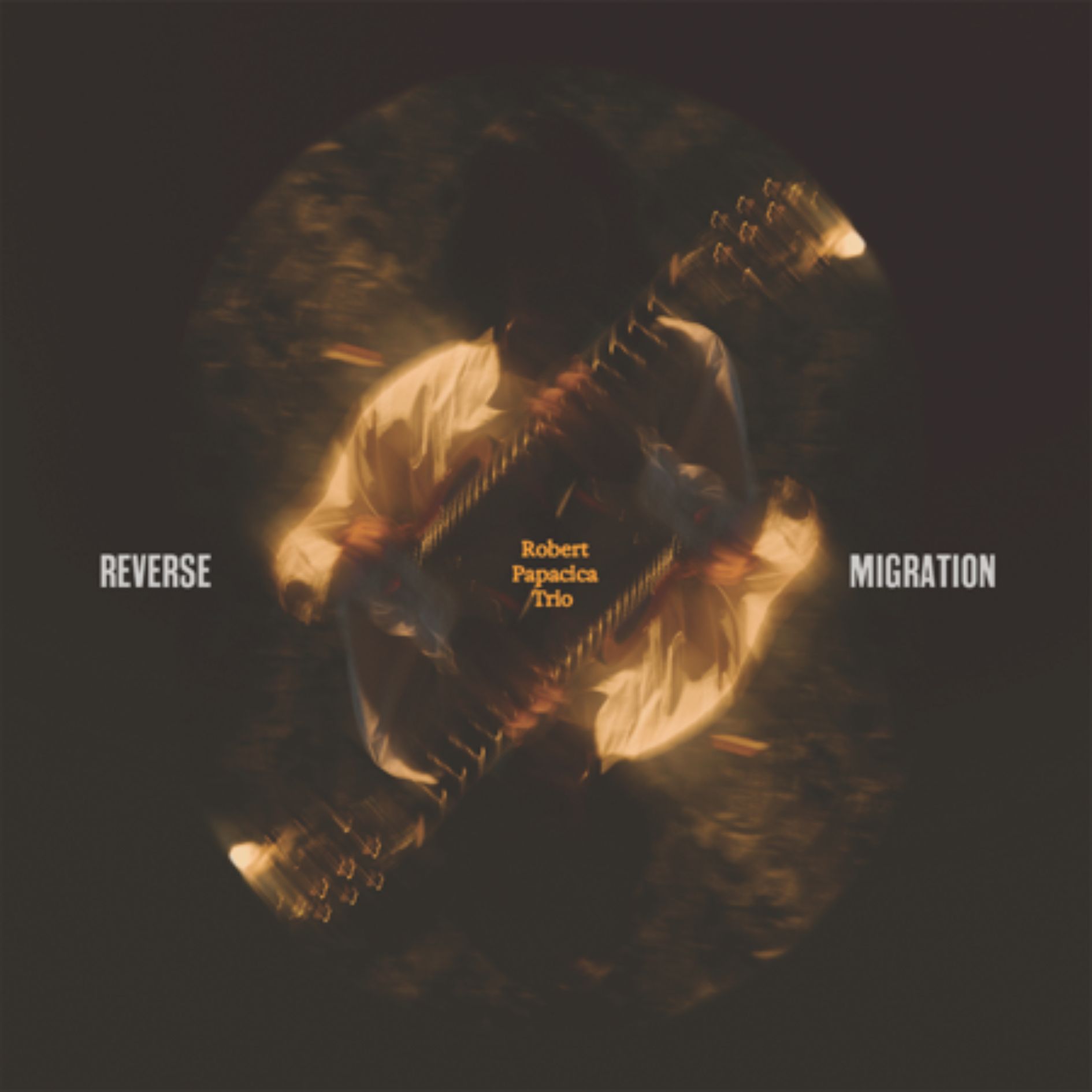 Reverse Migration by Robert Papacica