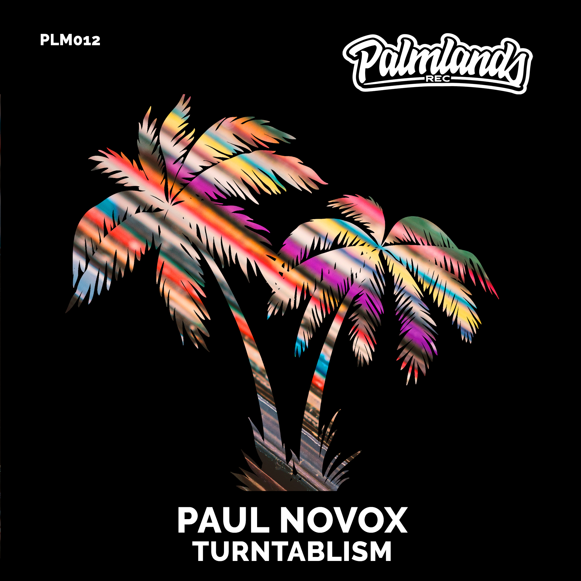 Turntablism by Paul Novox