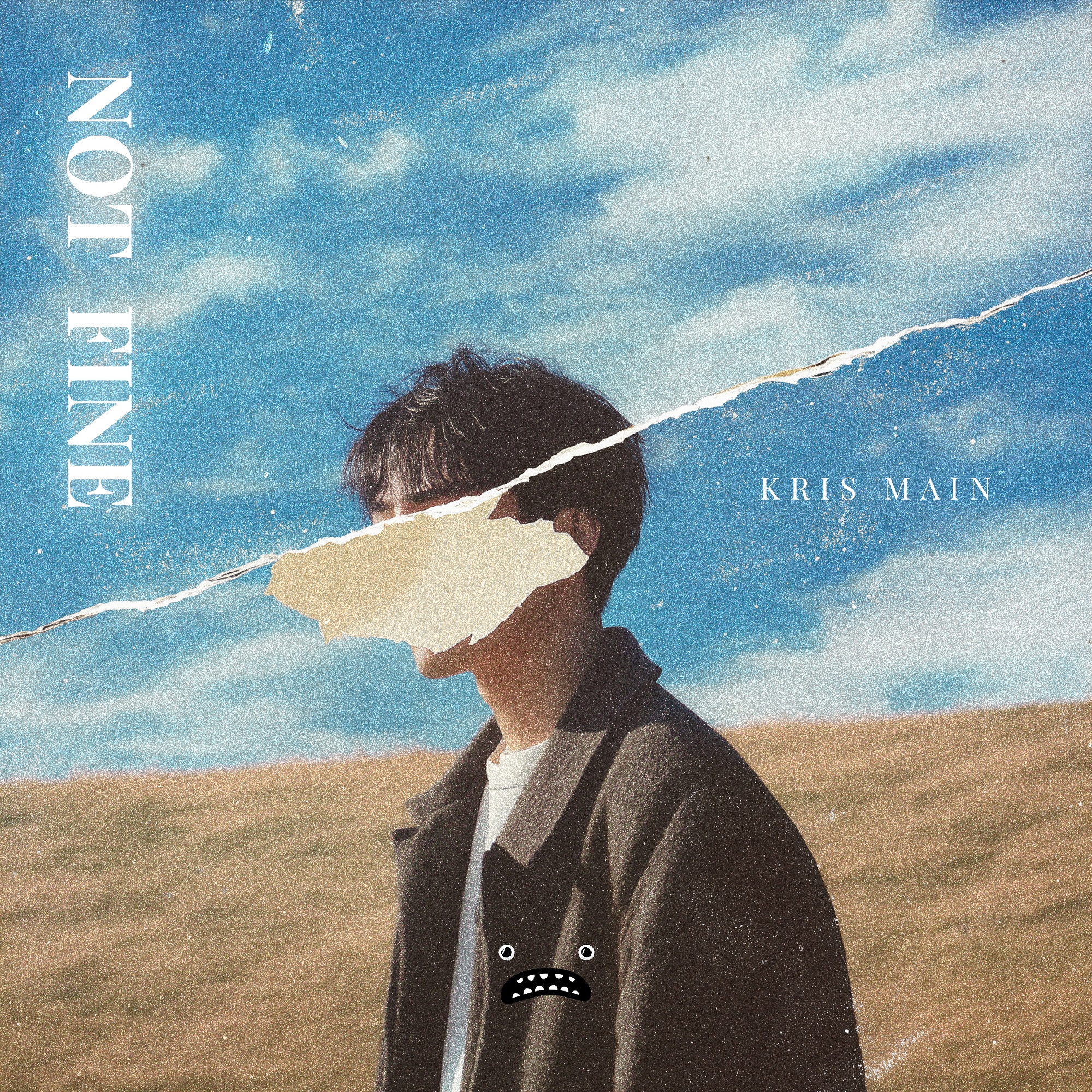 Not Fine by Kris Main