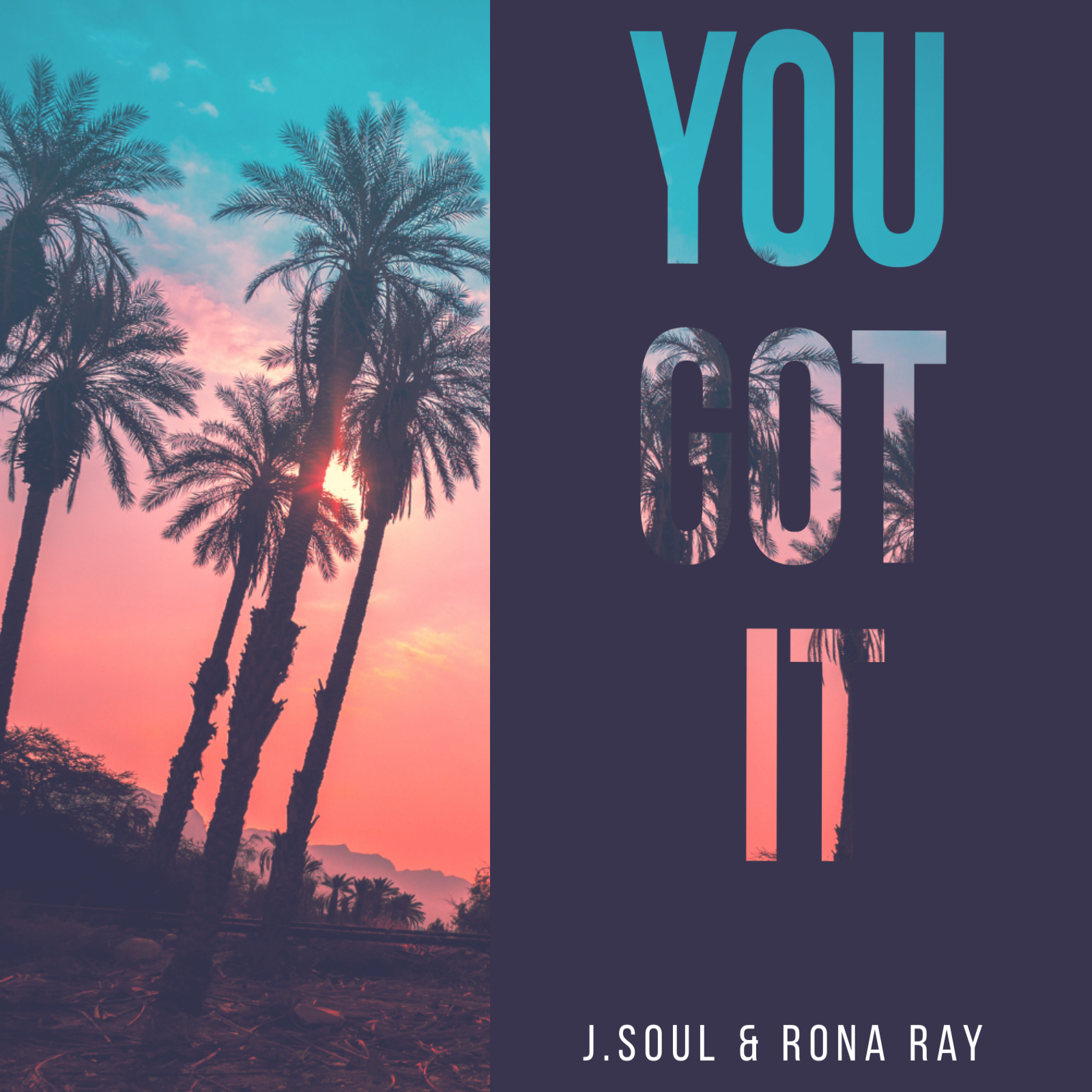 You got It by J.Soul Feat Rona Ray