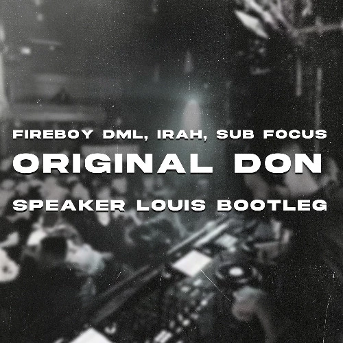 Fireboy DML, Irah, Sub Focus - Original Don - Speaker Louis Bootleg by ...