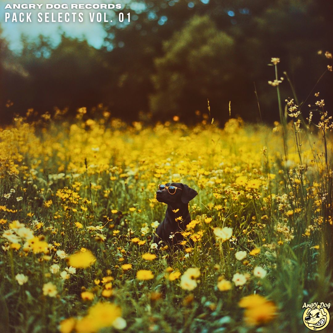 Pack Selects Vol. 01 by Angry Dog