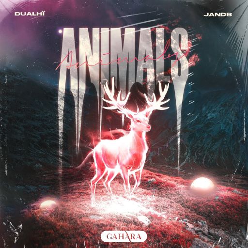 Animals by Dualhï, JandB