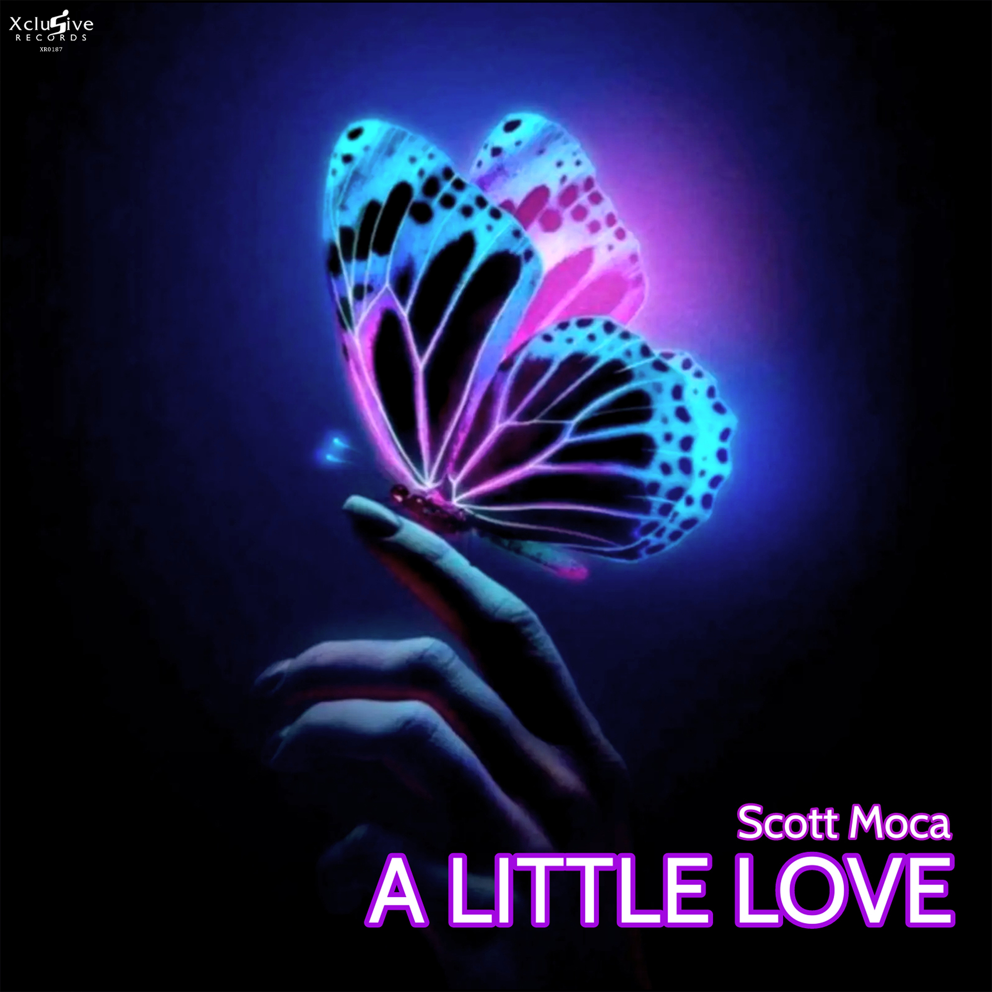 A Little Love by Scott Moca