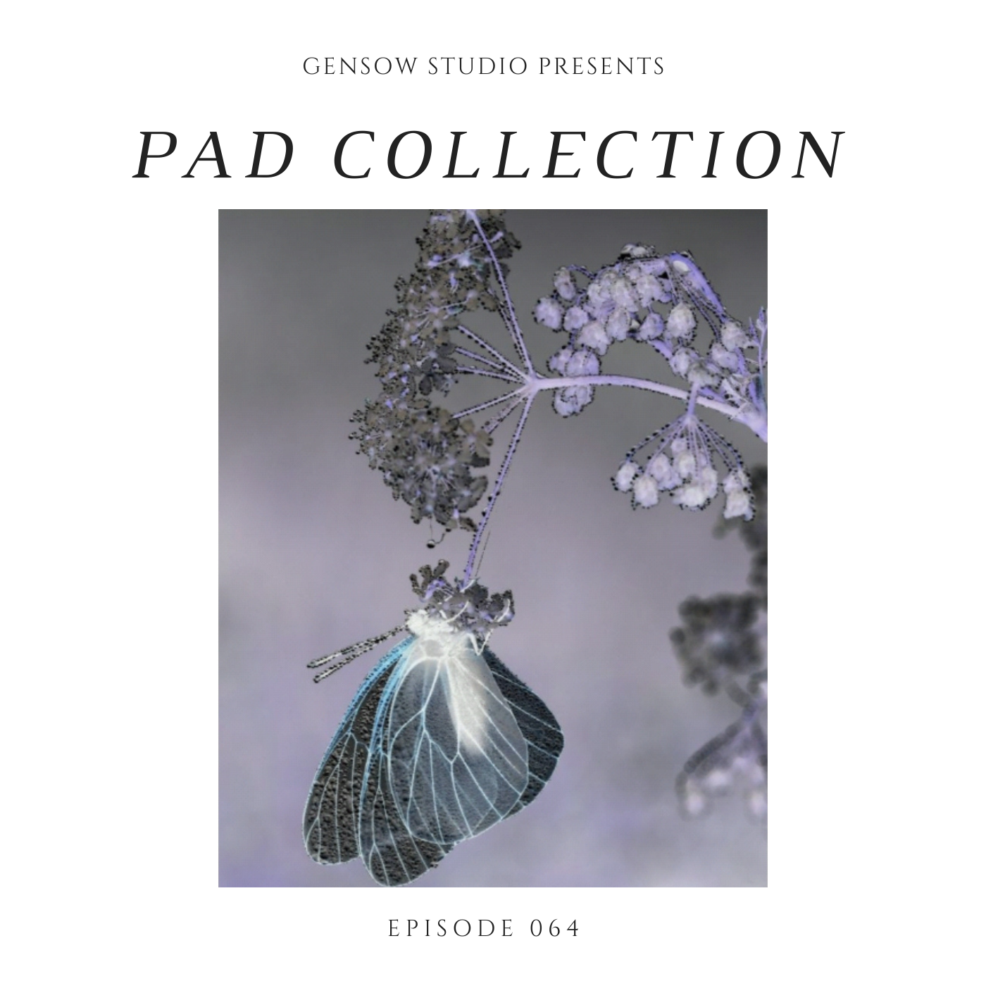 [FREE DOWNLOAD] Epic Pads Sample & MIDI Pack - Ambient, Cinematic ...